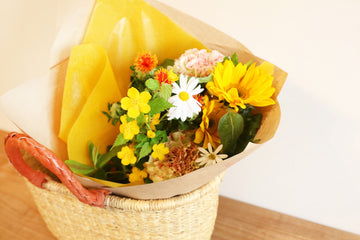 Ohana – Sunshine+Cloud