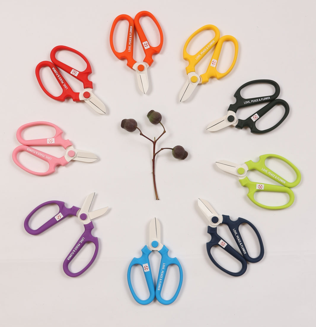 Ohana – Sunshine+Cloud