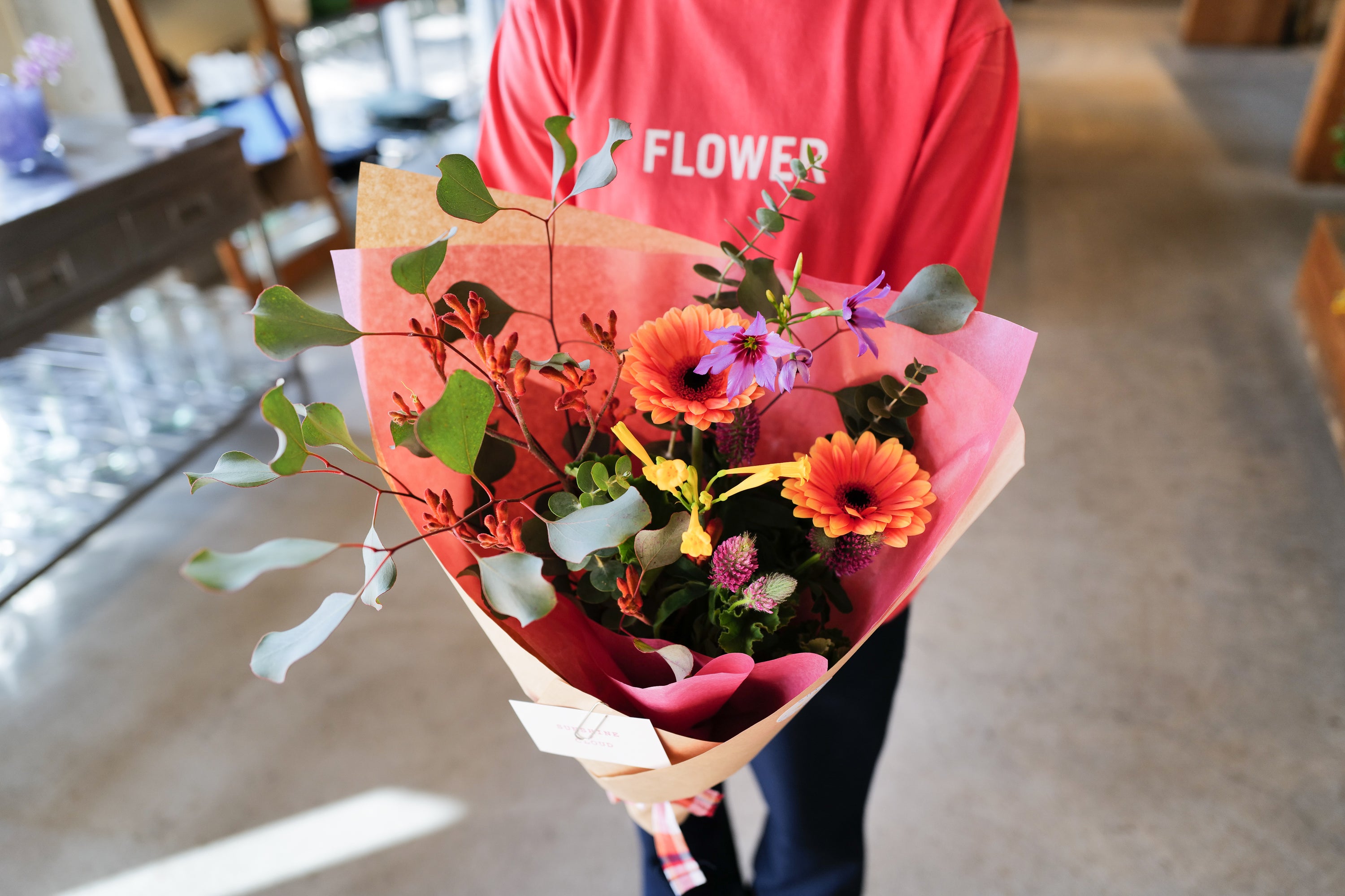 OHANA – Sunshine+Cloud